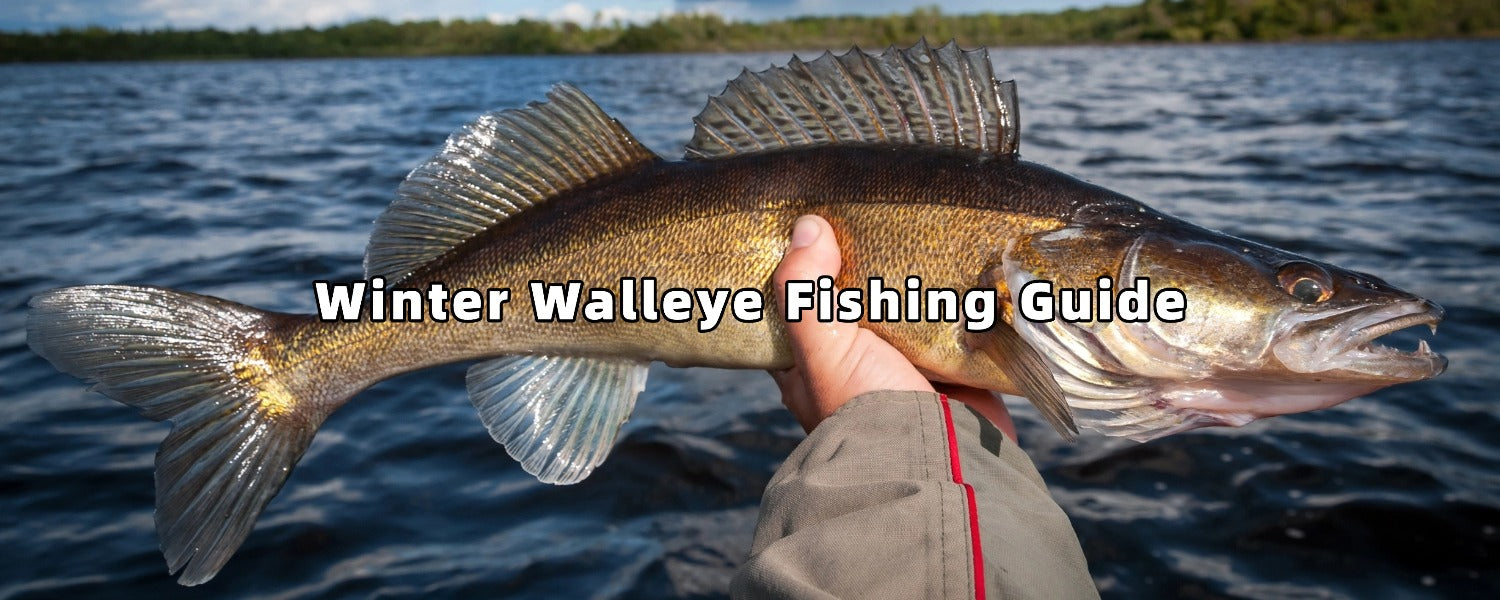 Winter Walleye Fishing Guide: Depth, Techniques, and Essential Gear ...